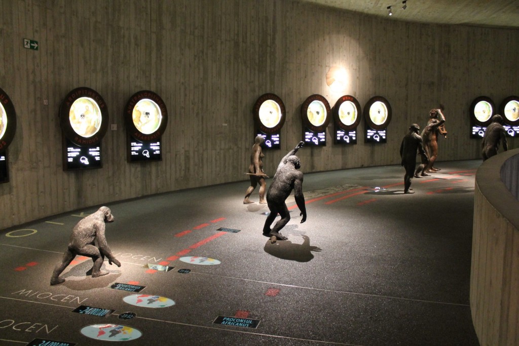 Museum Krapina caveman – Hušnjakovo | Tuheljske Toplice